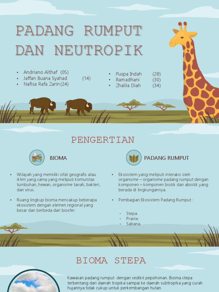 Padang Rumput Neotropik - Xi Mipa 4 | PDF