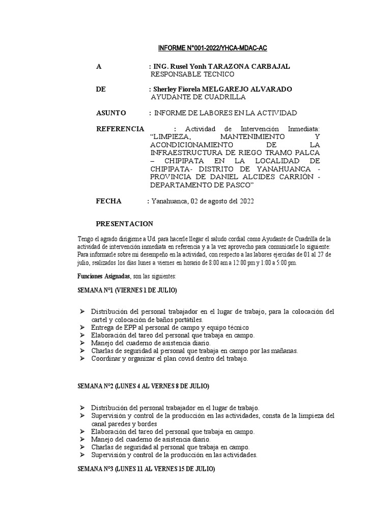 Informe N°02 de Labores Realizadas | PDF