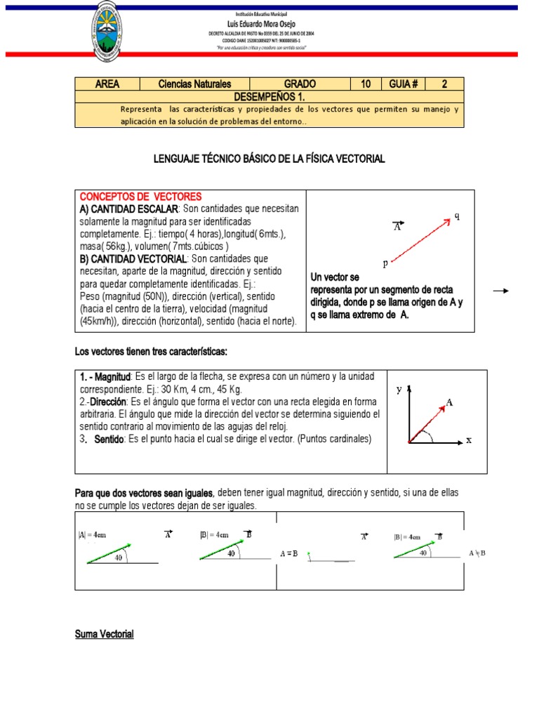 Fisica 10 Guia 2-VECTORES | Descargar gratis PDF | Vector Euclidiano | Física