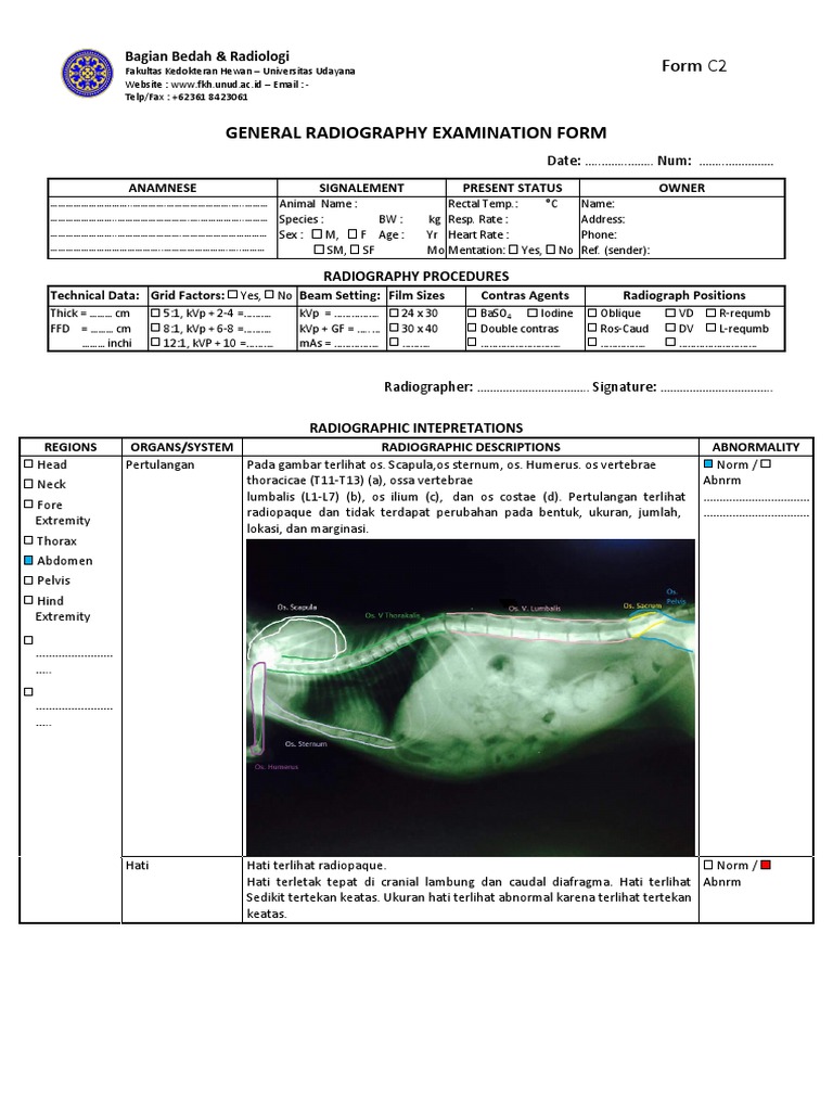 Contoh Pemeriksaan Radiografi - FKH Unud | PDF