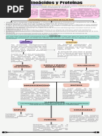 Mapa Conceptual Proteínas | PDF