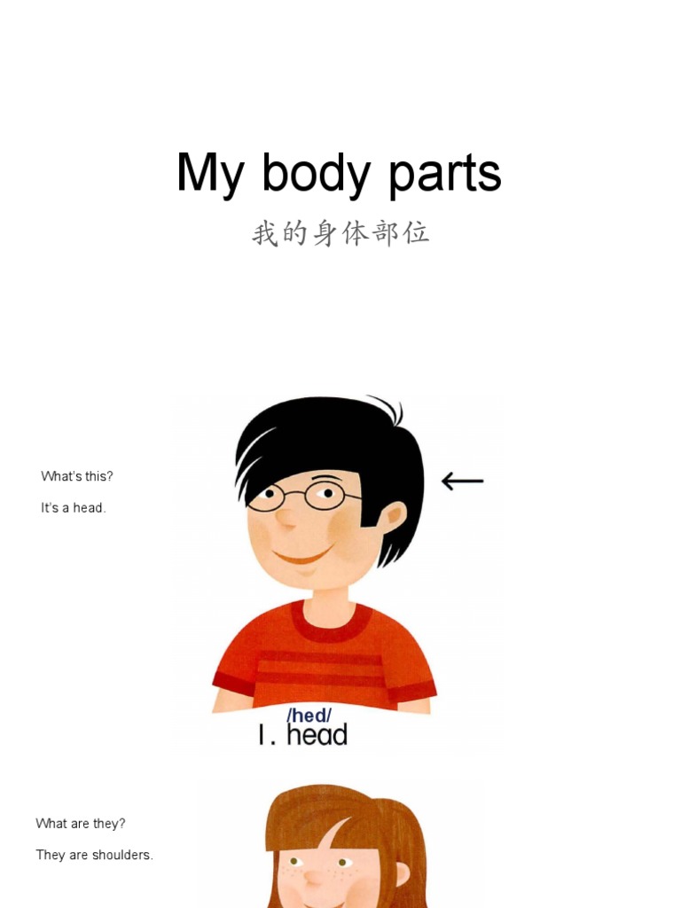 My Body Parts | PDF