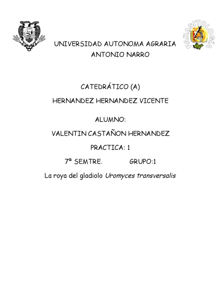 Roya del gladiolo: Uromyces transversalis | PDF | Agricultura ...