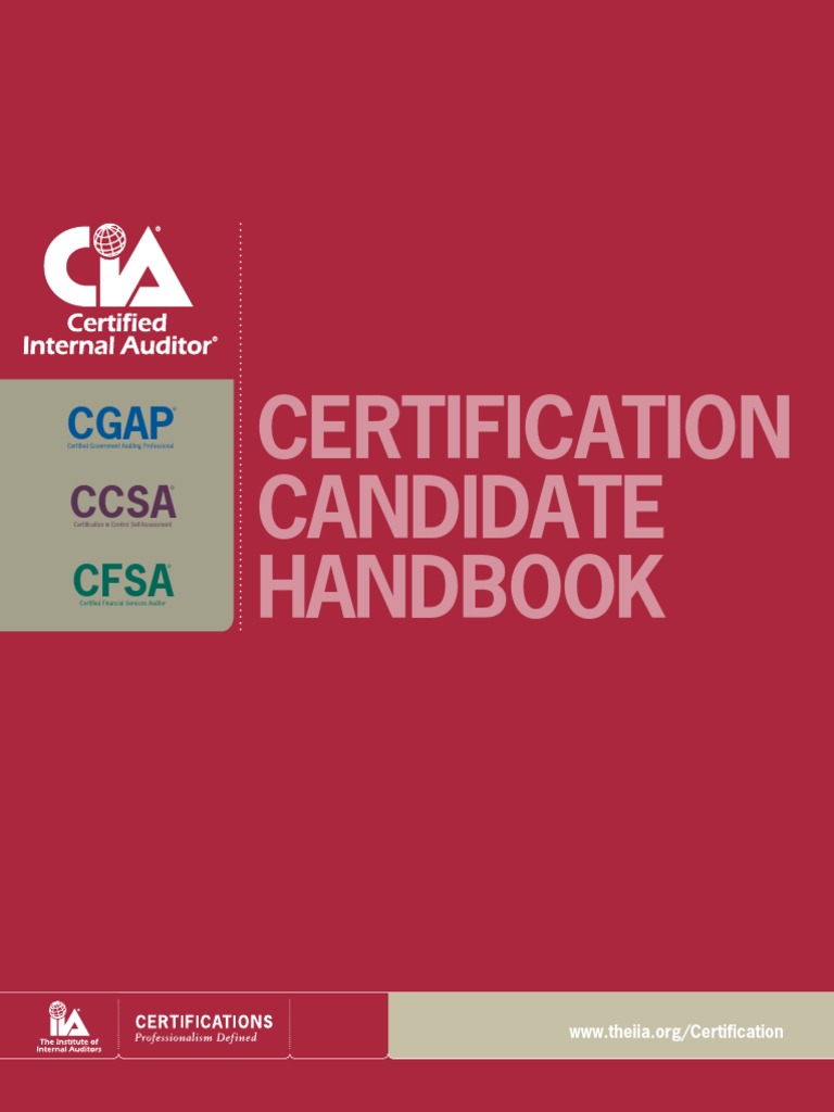 TheIIA CIA Certification Candidate Handbook 2008 | PDF | Identity ...
