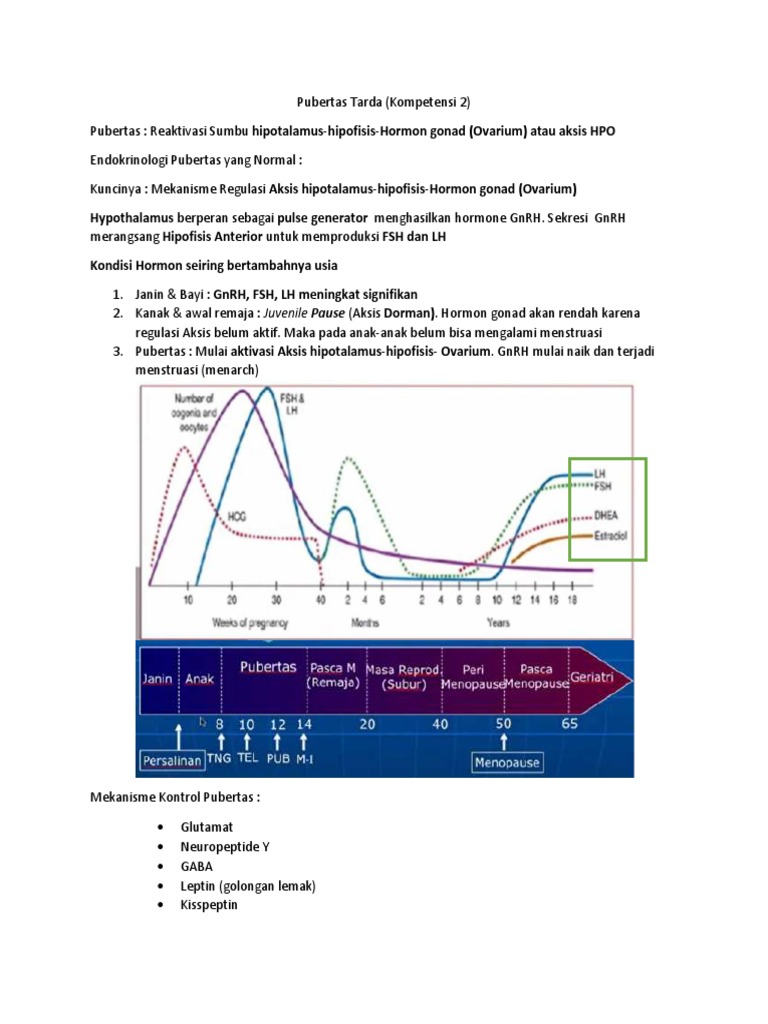Pubertas Tarda | PDF | Kesehatan Holistik