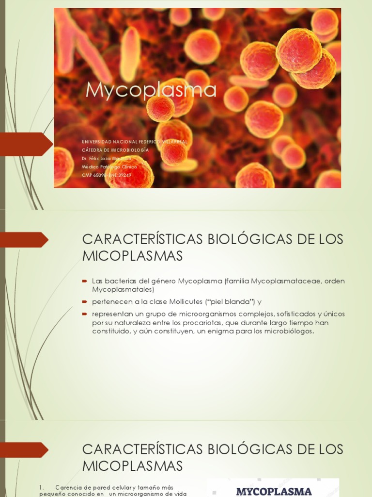 Mycoplasma | PDF | Micoplasma | Infección
