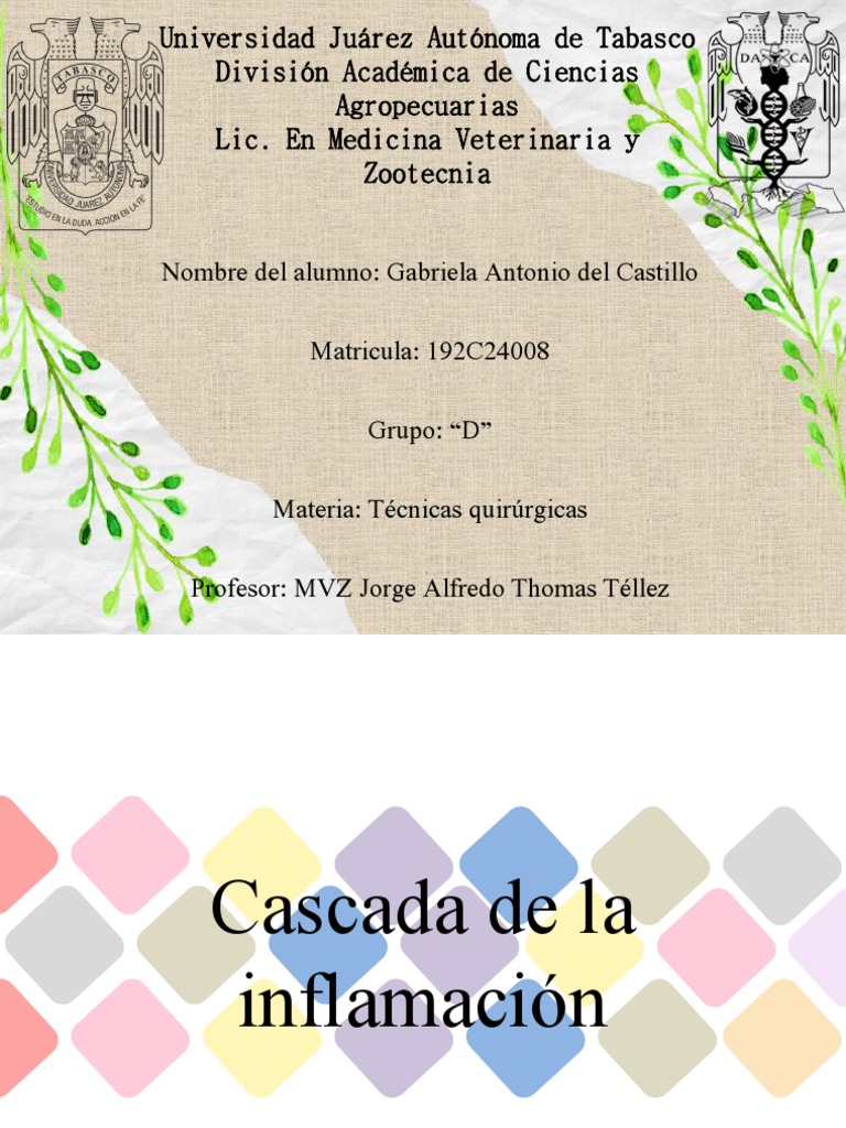 Cascada de La Inflamacion | PDF | Inflamación | Biología