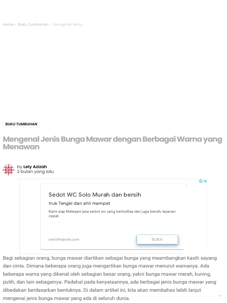 Mengenal Jenis Bunga Mawar Dengan Berbagai Warna Yang Menawan | PDF | Puisi