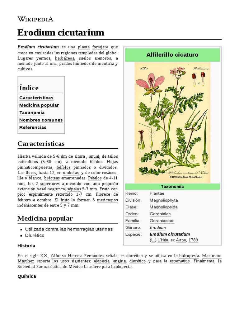 Erodium Cicutarium | Descargar gratis PDF | Ramas de la botánica | Hierbas Medicinales Y Hongos