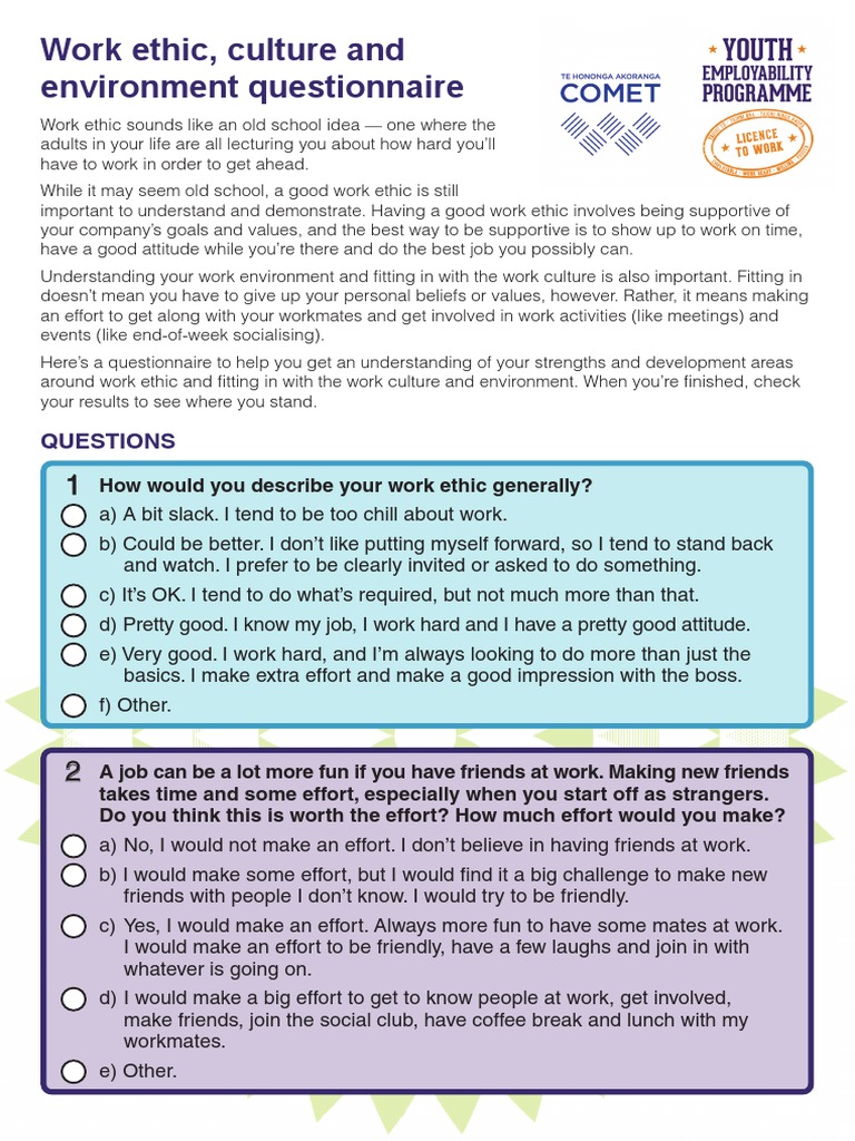 Work Ethic Questionnaire | PDF