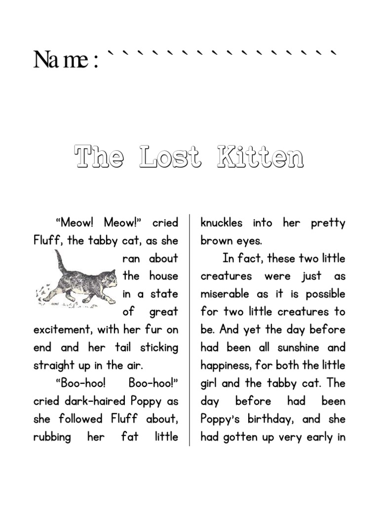 The Lost Kitten | PDF