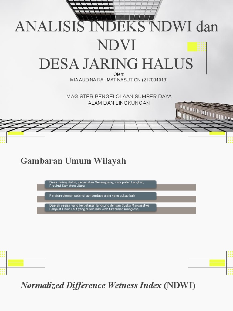 Analisis Ndwi Desa Jaring Halus | PDF