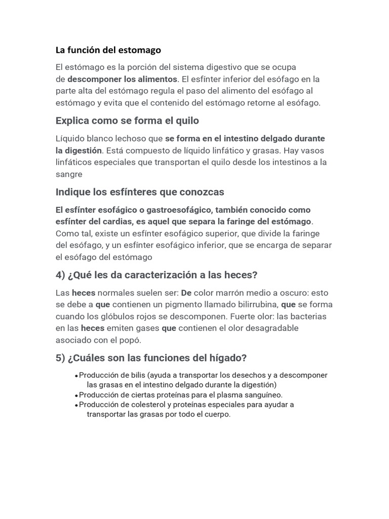 La Función Del Estomago: Explica Como Se Forma El Quilo | PDF ...
