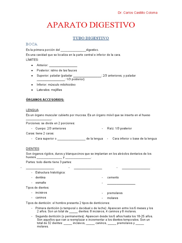Tarea Virtual de Aparato Digestivo | PDF | Diente | Sistema digestivo ...