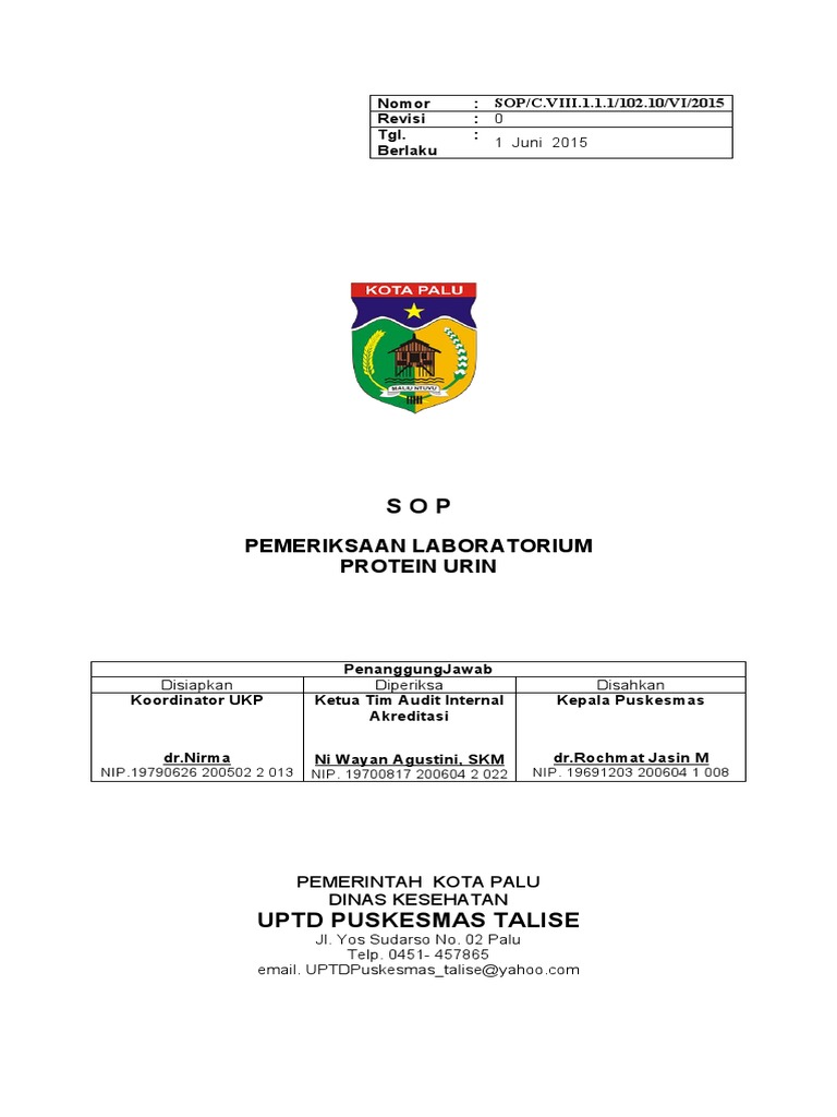 8.1.1.1 Pemeriksaan Lab (Protein Urin) | PDF