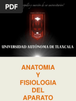 FRUTENZIMA: Usos y Beneficios Clínicos | PDF | Páncreas | Órgano (anatomía)