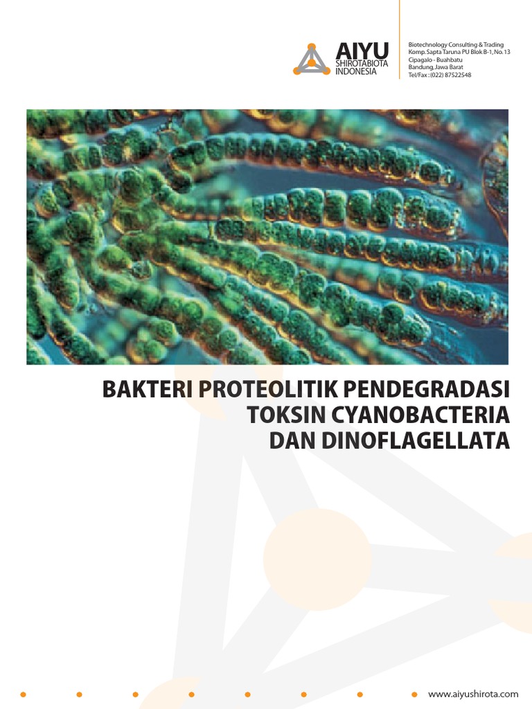 Bakteri Proteolitik Pendegradasi Toksin Blue Green Algae | PDF