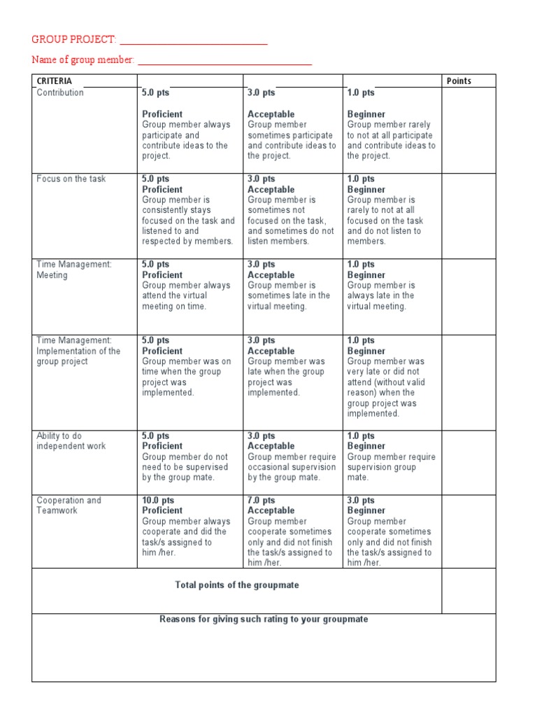 Group Project Member Evaluation Criteria | PDF