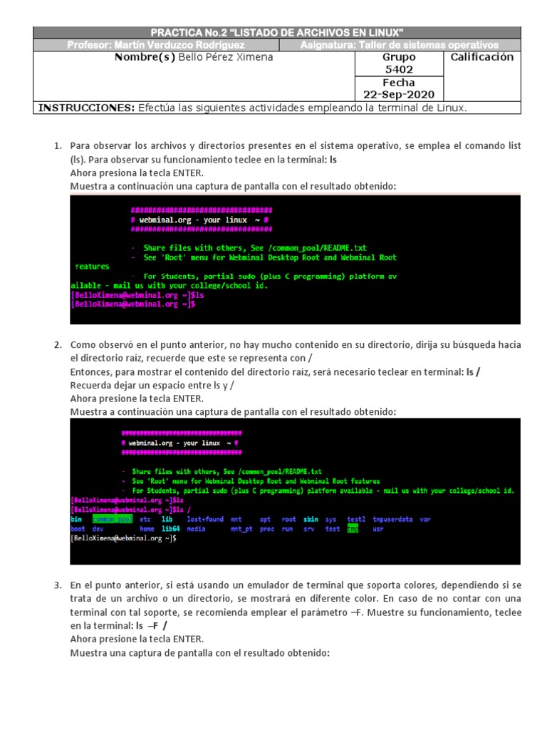 Practica - Linux - 2 - Comandos - Basicos - Bello Pérez Ximena | PDF ...