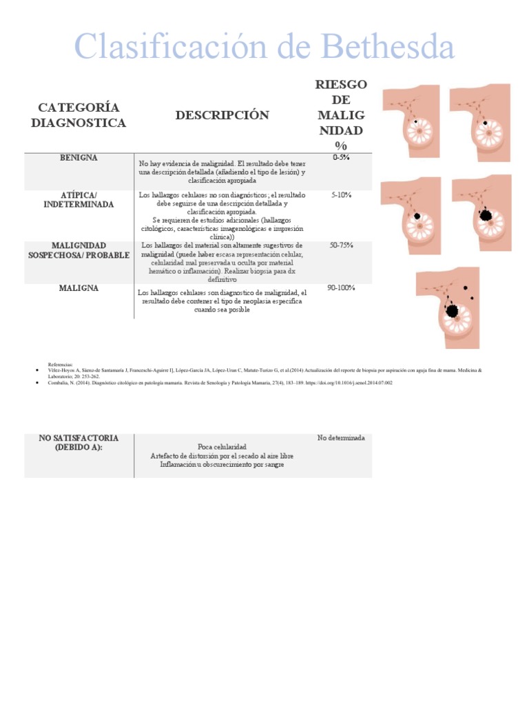 Clasificación de Bethesda | PDF | Biopsia | Cáncer de mama