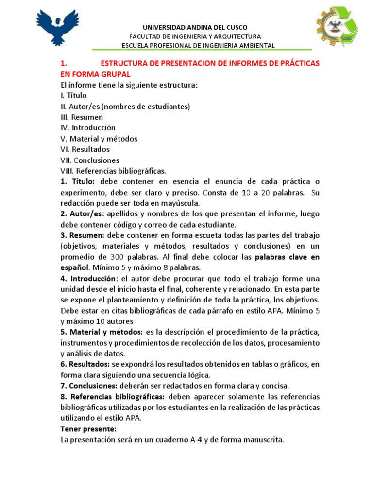 Cuaderno y Informe de Practicas - 2022-2 | PDF | Arte