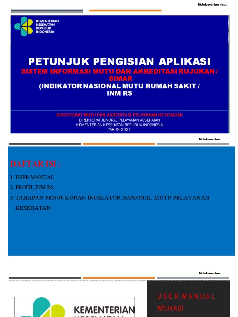 Petunjuk Pengisian INM | PDF
