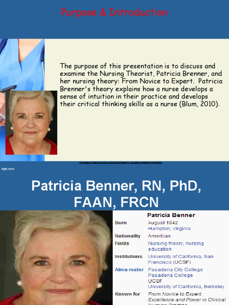 Patricia Benner's Nursing Theory: From Novice to Expert | PDF | Nursing ... Patricia Benner's Nursing Theory: From Novice to Expert | PDF | Nursing ...