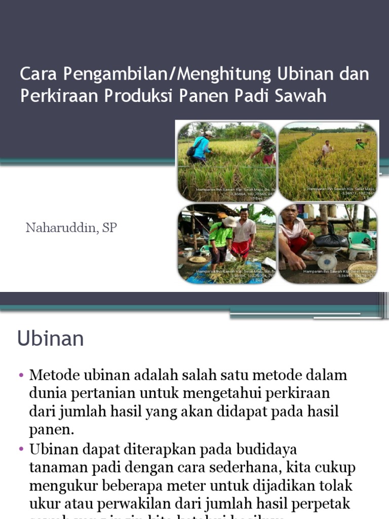 NAHARUDDIN-Cara Pengambilan Atau Pengitungan Ubinan | PDF