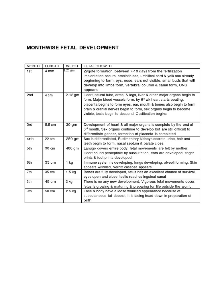 Monthwise Fetal Development | PDF