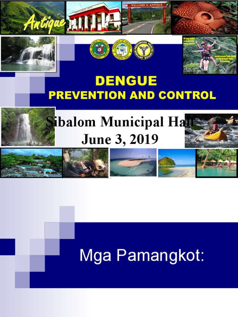 Dengue Lecture Pdf