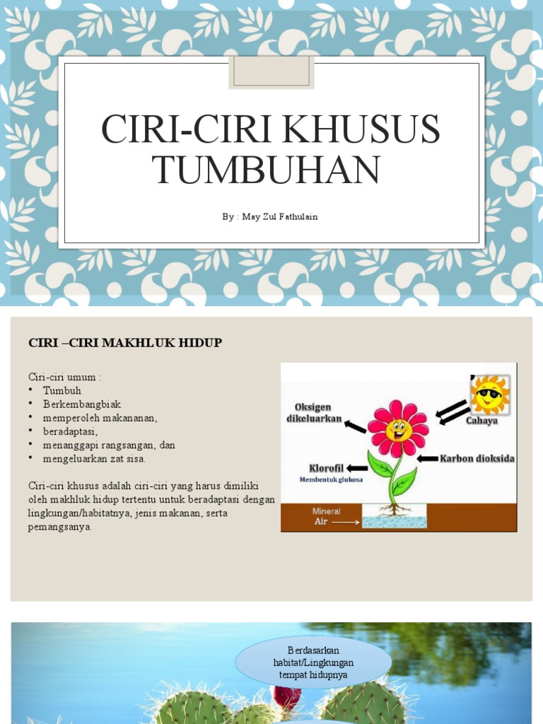 Ciri-Ciri Khusus Tumbuhan | PDF