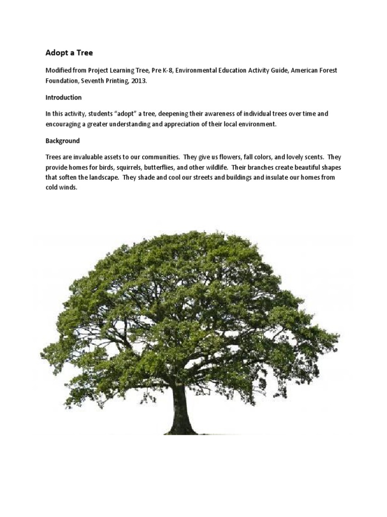 Adopt A Tree | PDF | Leaf | Trees