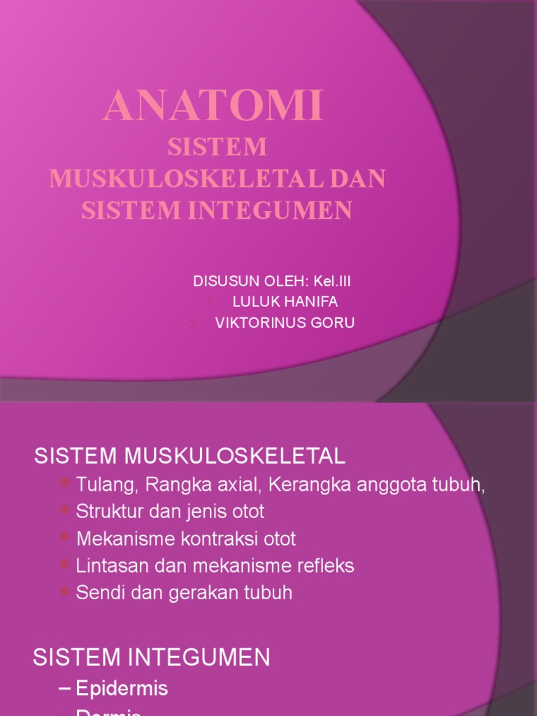 Anatomi Sistem Muskuloskeletal dan Integumen | PDF