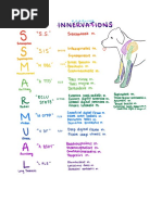 Kinesiology Flashcards, 3E - Lippert, Lynn S., Minor, Mary Alice ...