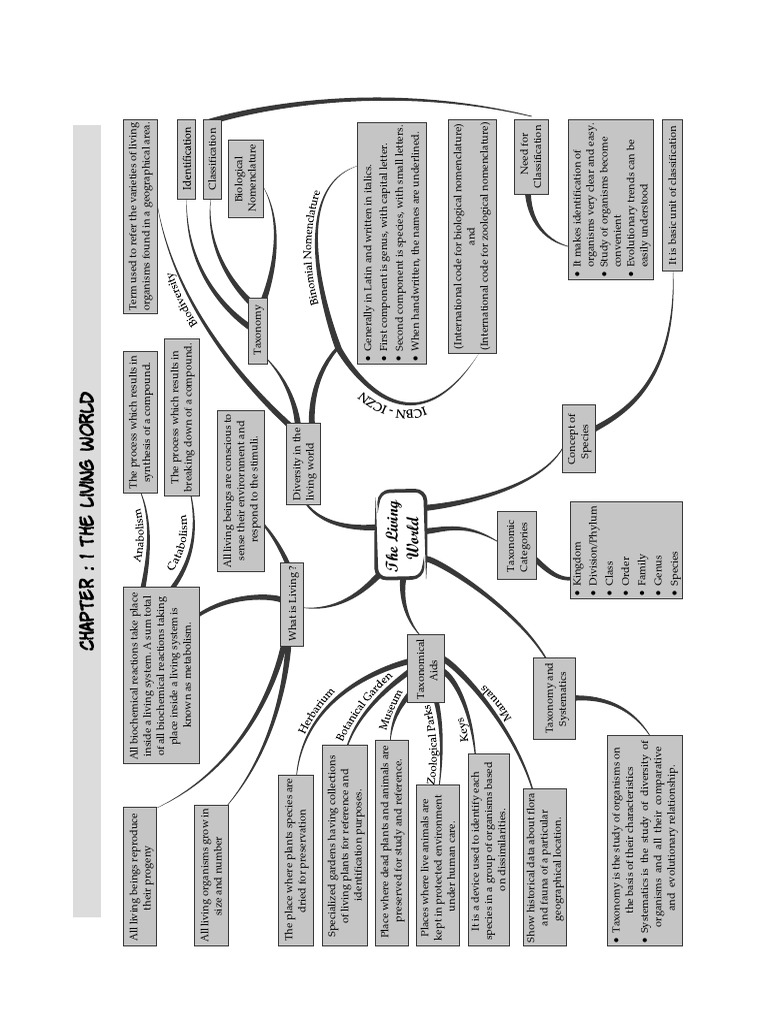 11 BIO Mind Maps | PDF | Meiosis | Mitosis