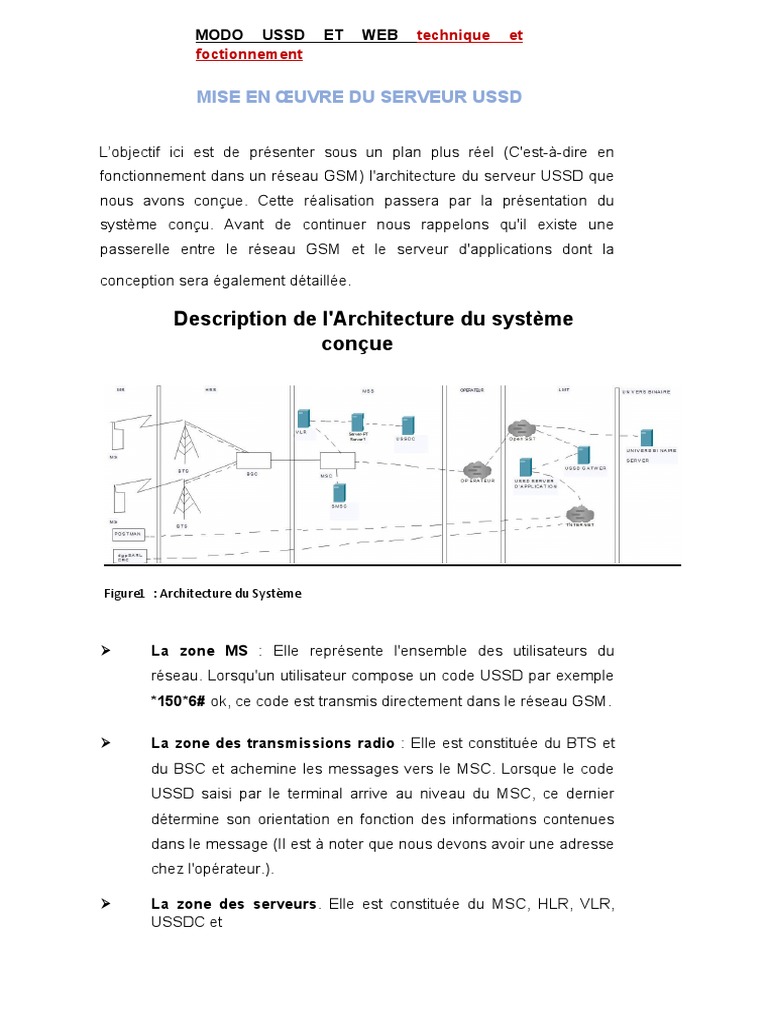 Modo Mise en Œuvre Du Serveur Ussd | PDF | Langage de programmation | Internet
