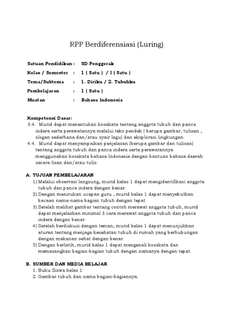 Contoh RPP Berdiferensiasi | PDF | Karier & Perkembangan | Sains ...