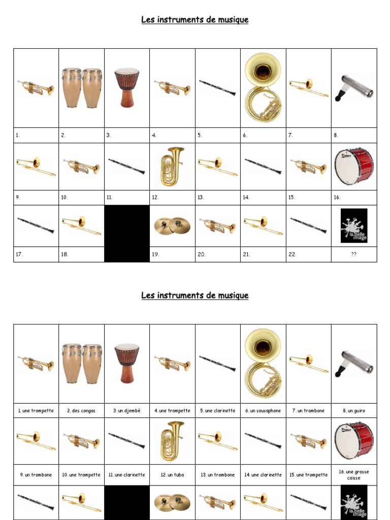 Familles et catégories d'instruments | PDF | Instruments à corde ...