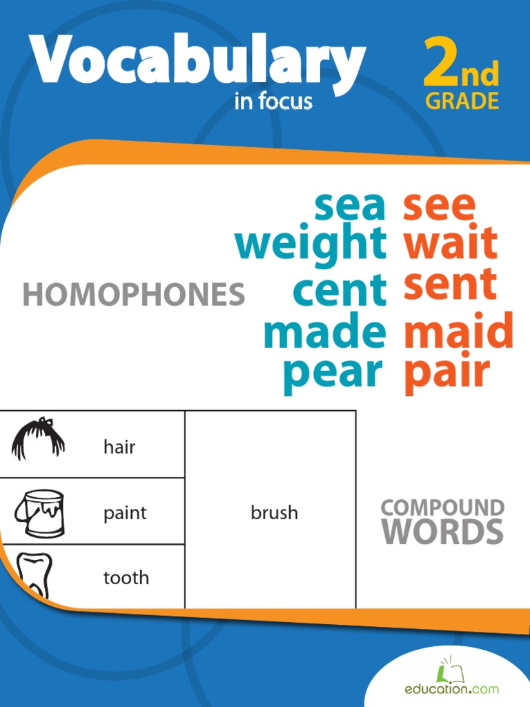 Vocabulary Focus Workbook | PDF