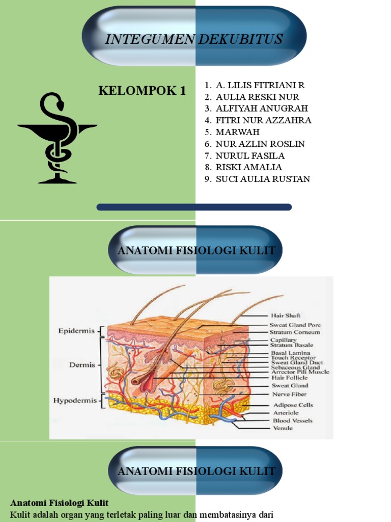 1.ulkus Dekubitus | PDF