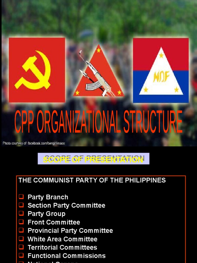 CTG Organizational Structure | PDF | Military | International Security