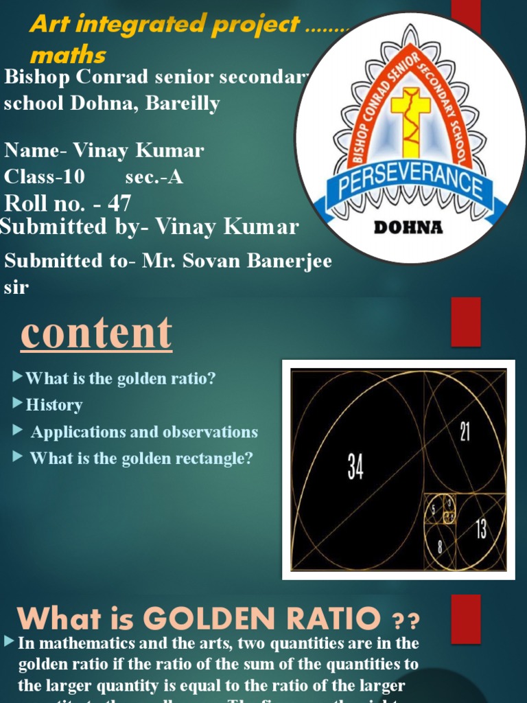 Vinay Kumar 10 A 47 Maths Pdf Science Mathematics