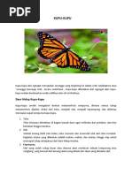 Siklus Hidup Kupu-Kupu Lembar Kerja Memotong Dan Menempel Dalam Hijau Ilustratif | PDF