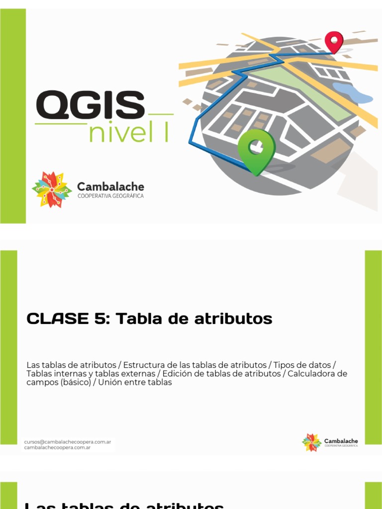 5 QI Tablas | PDF | Tipo de datos | Informática