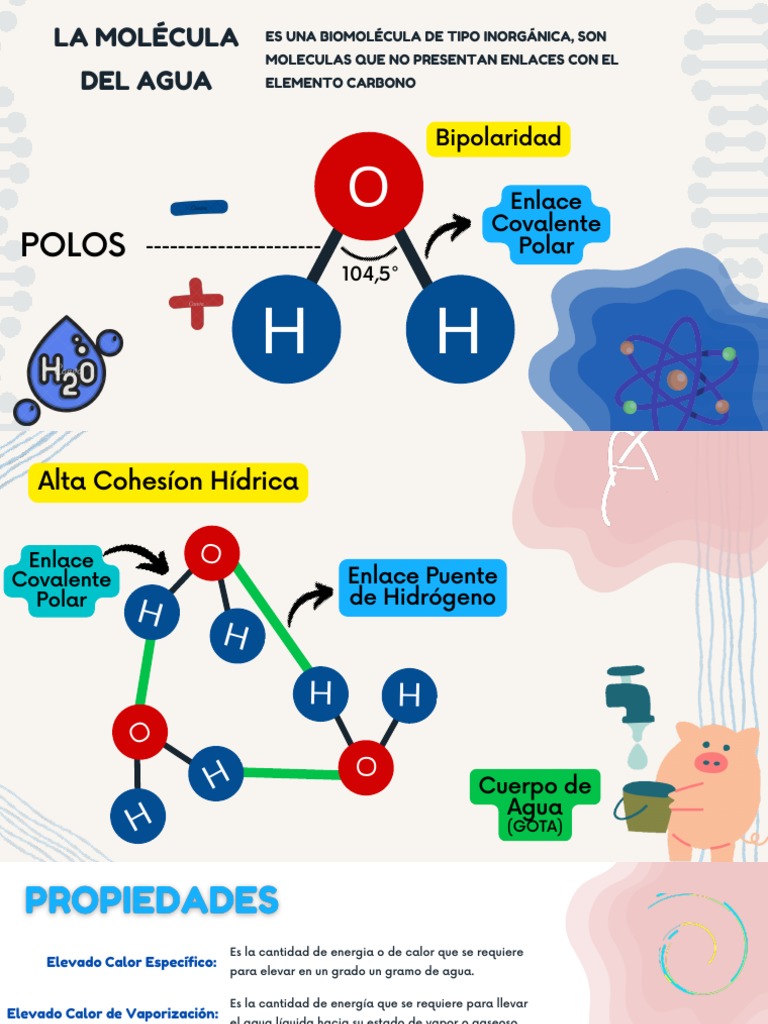 Composicion Quimica Del Agua | PDF | Agua | Calor