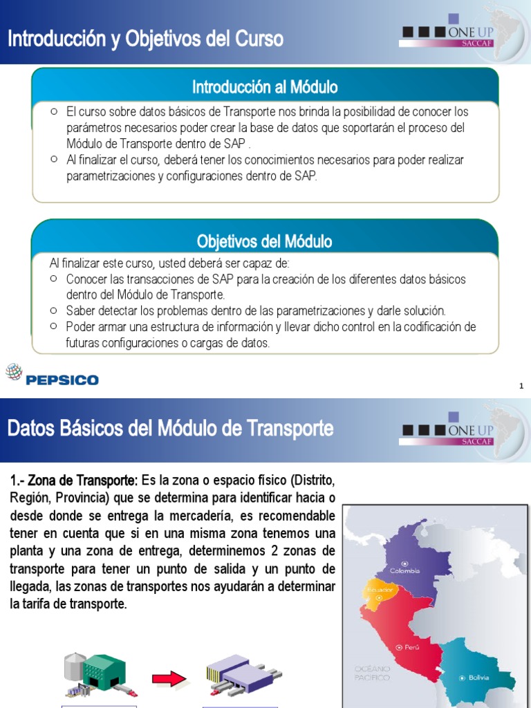 Manual Datos Básicos de Transporte en SAP | PDF | Transporte | Camión