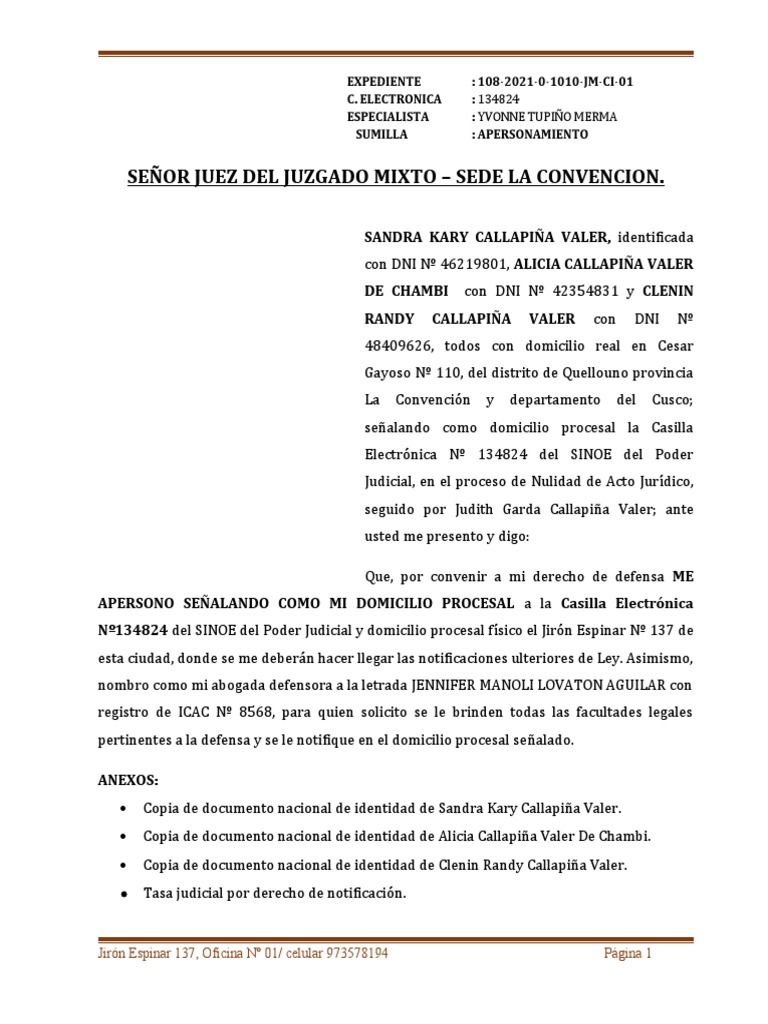 Apersonamiento Judith Garda - Demandados | PDF | Gobierno | Justicia
