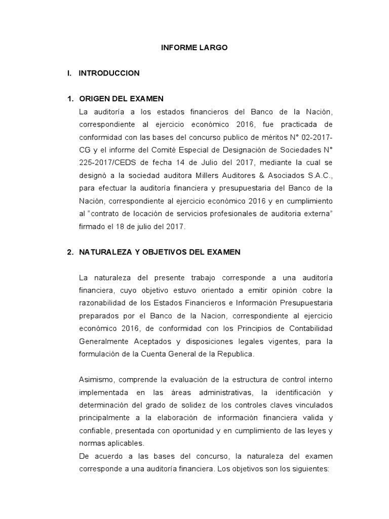 Informe Largo | PDF | Auditoría | Bancos