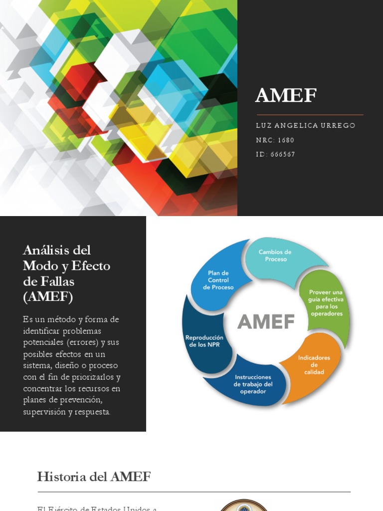 AMEF | PDF