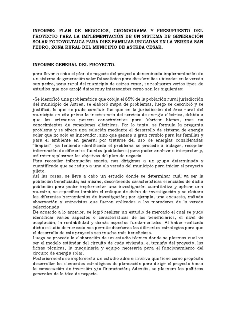 Informe de Un Proyecto. | PDF | Investigación de mercado | Presupuesto